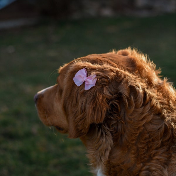 Light Pink Polyester Dog Bow With Non Latex Groomer Bands, Pair of Dog ...