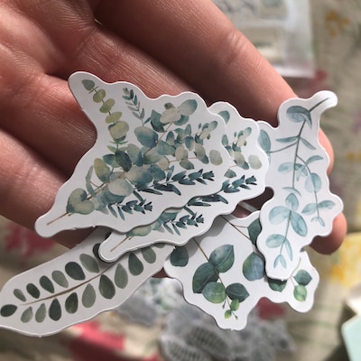 45pcs Eucalyptus Leaf Sticker Packplants Sticker Box - Etsy Canada