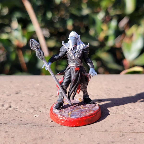 Nezznar Black Spider Drow Mage Dungeon Classics | the Dragon Trappers ...