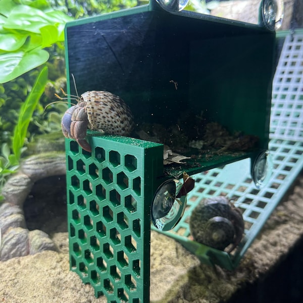 Hermit Crab Tank Decor Corner Underground Hideout Cave Hermit Crab Hide ...
