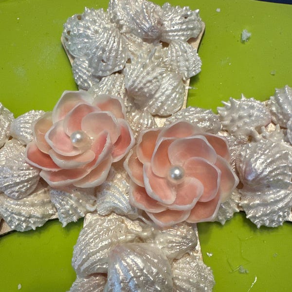 Arrowhead Sand Dollar Shell Extra Large Encope Michelini (1 Shell ...