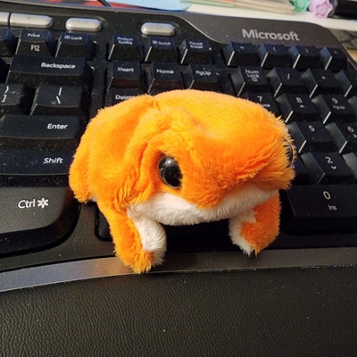 Made to Order Frog Beanie Plush Collectable by Froogandboog - Etsy