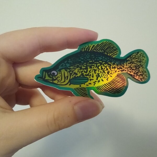 Crappie Sticker High-quality, Durable Freshwater Fish Fishing Decal for ...