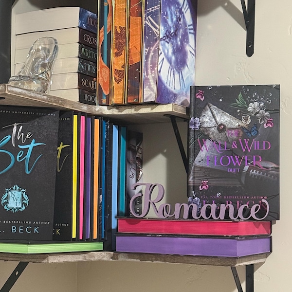 Romance Bookshelf Sign Library Book Lover Gift Custom Colors Book Club ...