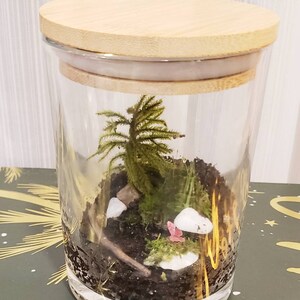 Luminous Terrarium Decor Bonsai Alien Fairy Garden Miniature Micro ...