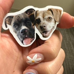 Baby Introduction Stickers Hello My Name Is...stickers - Etsy