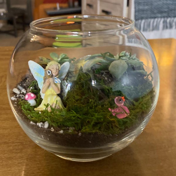 Enchanted Fairy Garden Terrarium Kit - Etsy