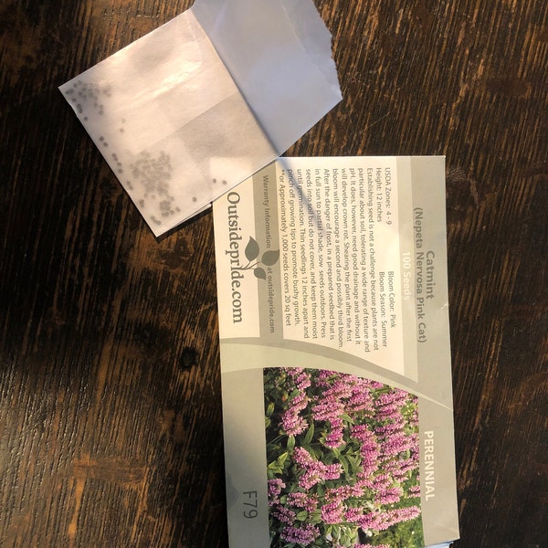 Catmint Nepeta Nervosa Pink Catmint Xeriscape Garden Flower Plant Seed ...