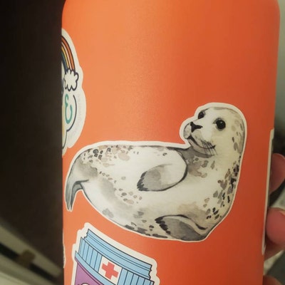 Seal Sticker, Waterproof Vinyl Decal, Animal Lover Gifts - Etsy UK