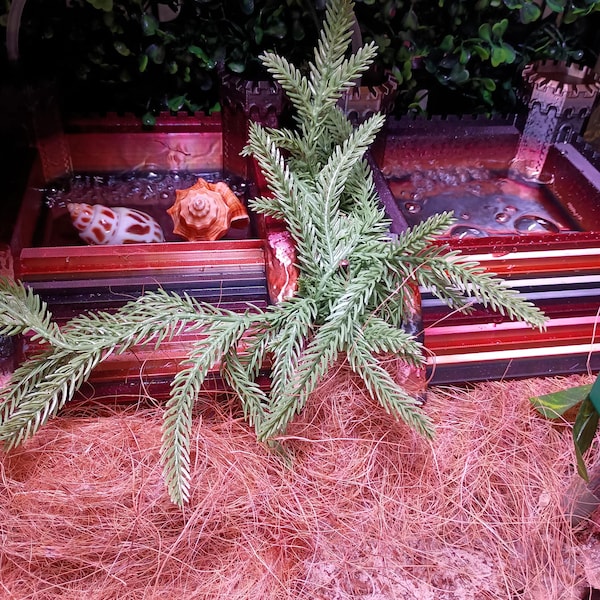 Castle Hermit Crab Pool | 3D Printed | Medieval Hermit Crab Pool ...