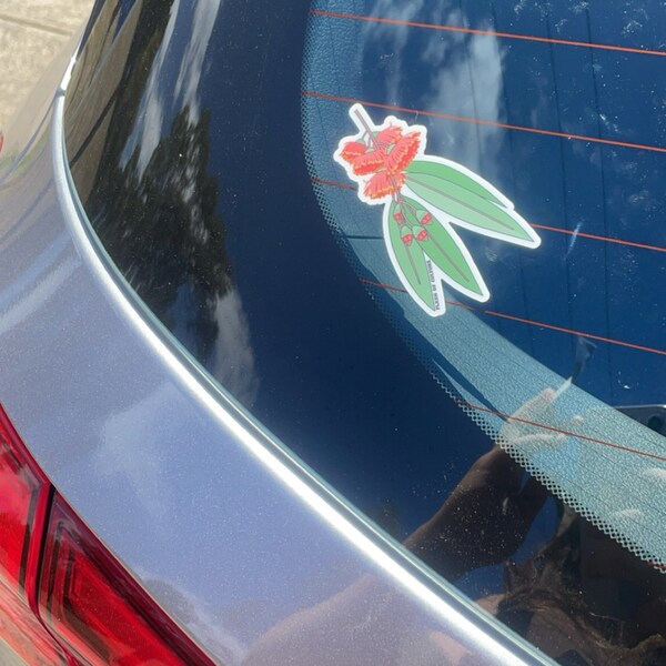 Kiwi Bird Sticker, Kiwiana Sticker, Native Birds From New Zealand, NZ ...