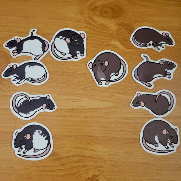 Cute Fancy Rat Stickers Pack of 8 to 10 Made to Order - Etsy