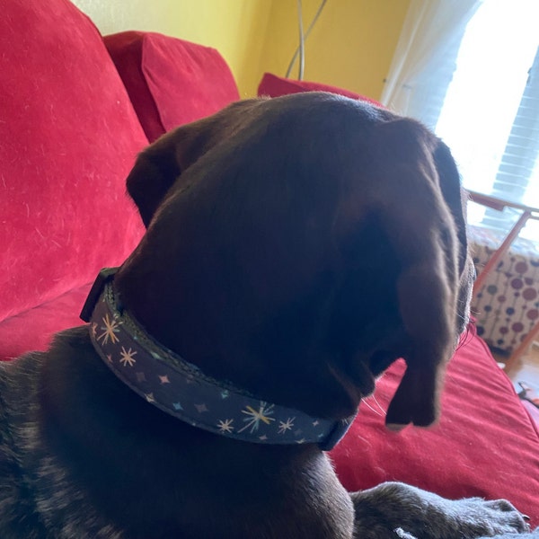 Retro Star Dog Collar, Boy Dog Collar, Girl Dog Collar, Star Dog Collar ...