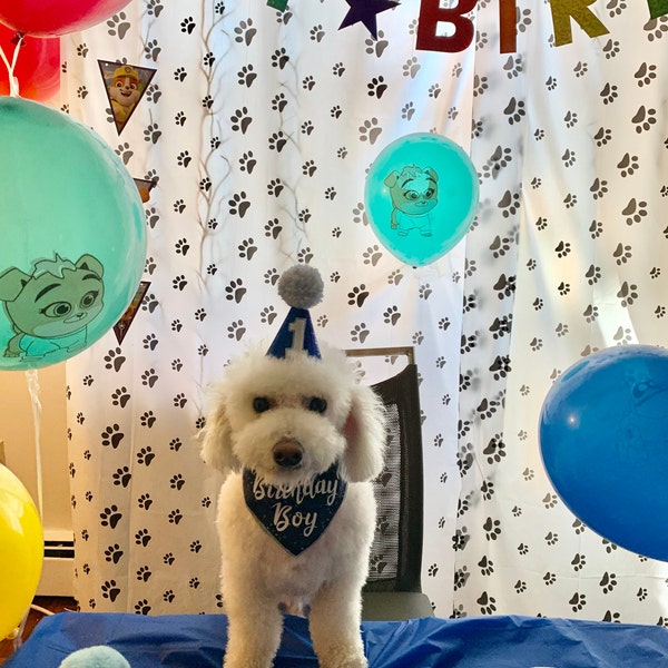 1st Birthday Hat- Boy First Birthday Hat - Mini Blue Party Hat - Boy ...