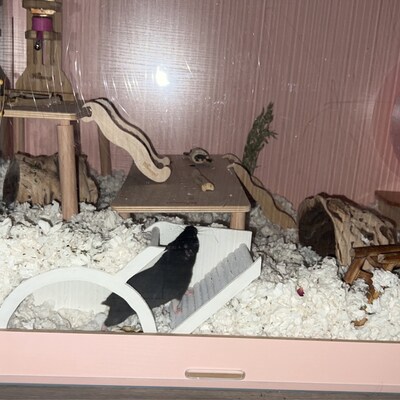 Hamster Watchbox Underground Tunnel Hideout House Home for Gerbil Small ...