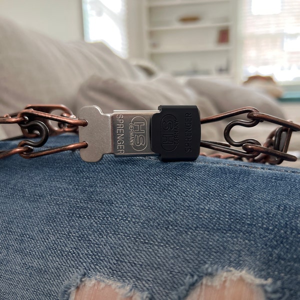 Cliclock Fastener, Stainless Steel – Buckle for Prong Collars - Etsy