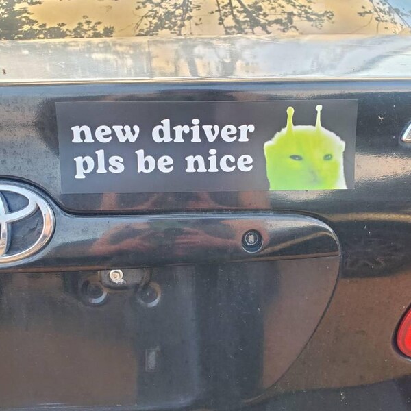 New Driver Pls Be Nice | Cat Meme Car Bumper Sticker | Pink Coquette ...