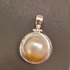 2 3/8 Fifi Rose Paisley Nautilus Shell 925 Sterling | Etsy