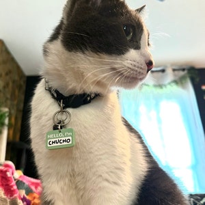 Custom Pet Tag for Dogs and Cats Personalized Weiner Hot Dog Tag Pet ID ...