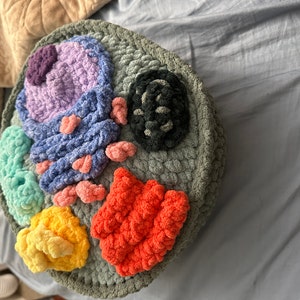 Animal Cell Eukaryotic Mini Pillow Crochet Pattern (Download Now) - Etsy