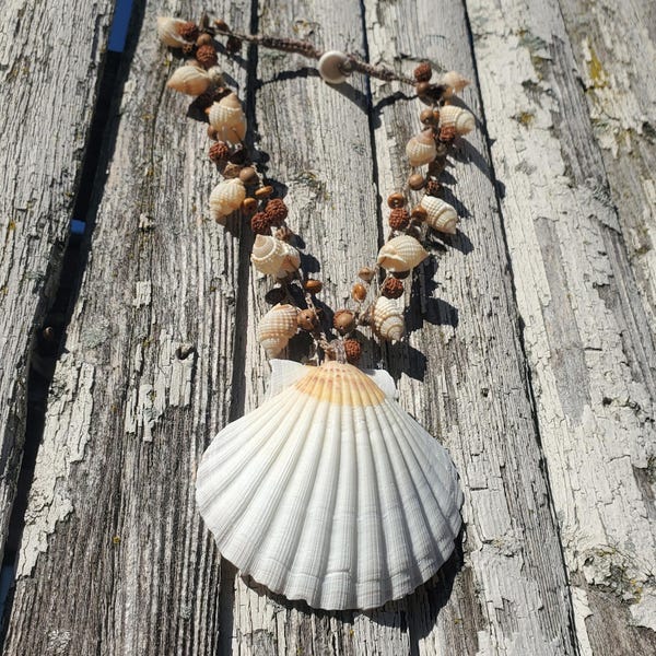 Puka Shell, Vary Size Nature Tiger Puka Shell Beads, 15.5 Inch - Etsy