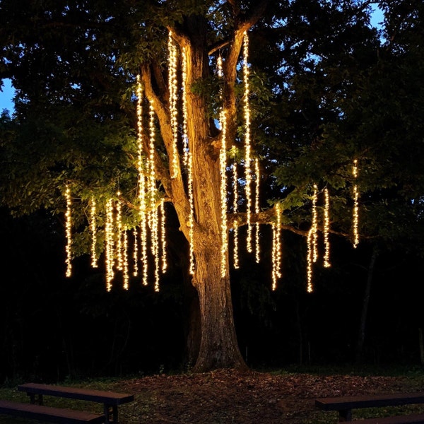 10-ft LED Clear Wire, Warm White Light Tree Hanging Light - Wedding ...