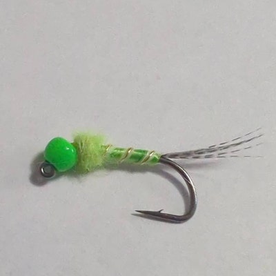 3 Euro Nymphing Flies 1 FREE Random Fly Tungsten Caddis Hot Spot Egg ...