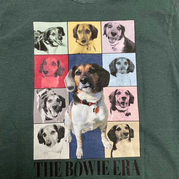 Customizable Eras Comfort Colors Tee, Eras Tour Gift for Dog Mom, Swift ...