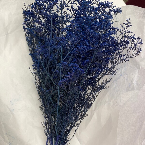 Blue Preserved Caspia; Preserved Caspia, Dried Flowers Bunch, Dried ...