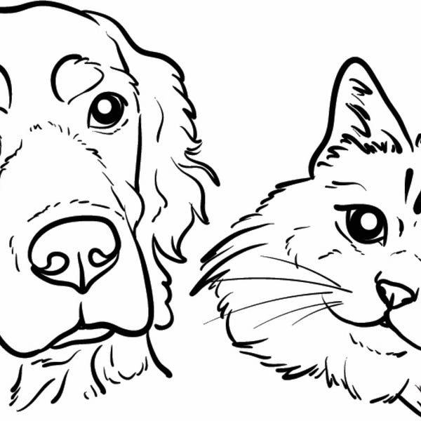 Custom Color Vector Portrait Conversion Drawing - Etsy