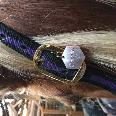 Custom Bridle Tag, Halter Tag, Horse Name Tag, Gift for Horse Lover ...