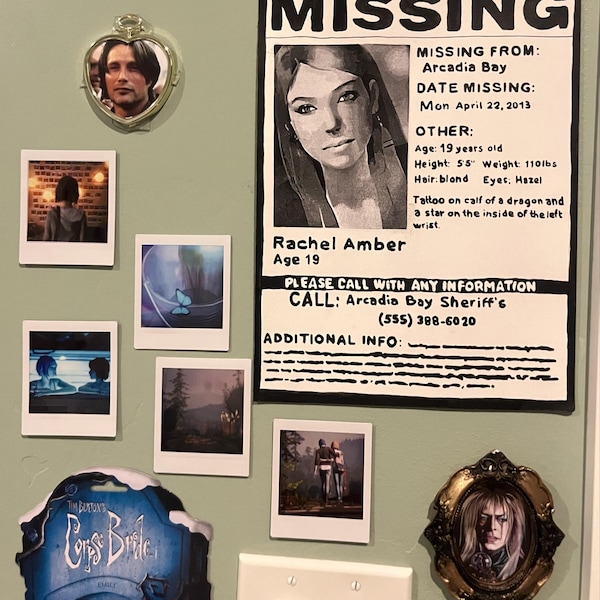 Life is Strange Polaroid, Videogame Max Caulfield and Chloe Price ...