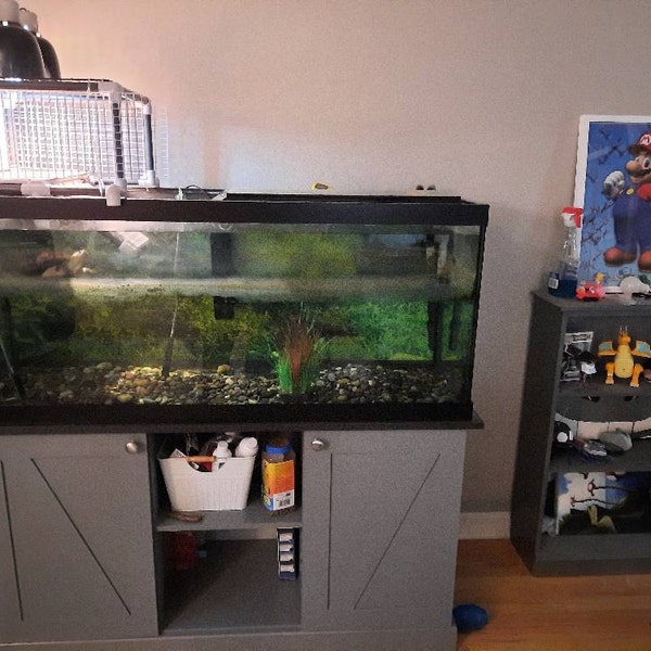 Tank Topper Turtle Dock! Sits on Top of Your Aquarium and Fits 18-19 ...