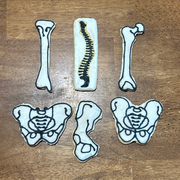 Human Spine Cookie Cutter – Backbone Anatomy Shape for Medical Student ...