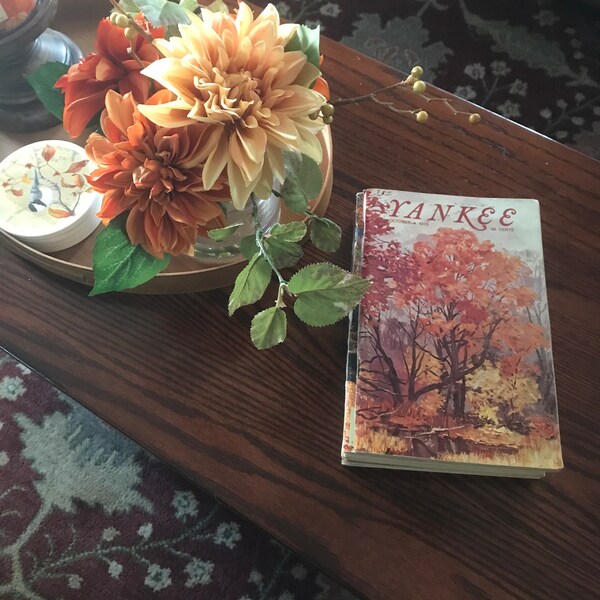 USFL Kickoff Magazine Program Arizona Wranglers V Chicago Blitz Craig ...