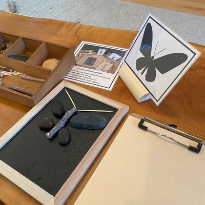 Loose Parts Insect/bug Exploration, Build a Bug, Fine Motor Skills ...