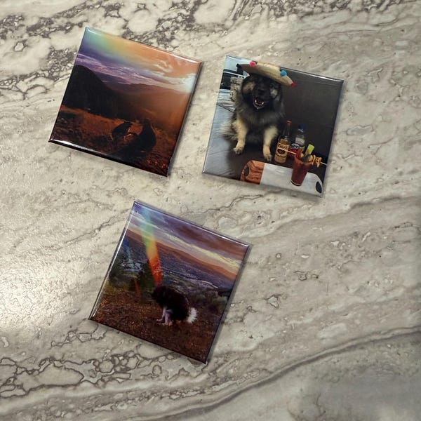 Custom Music Fridge Magnet, Custom Photo Magnet, NFC Music Magnet ...
