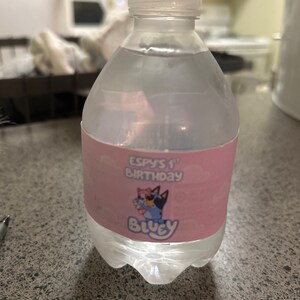 Bluey Pringles Label Party Favor - Etsy