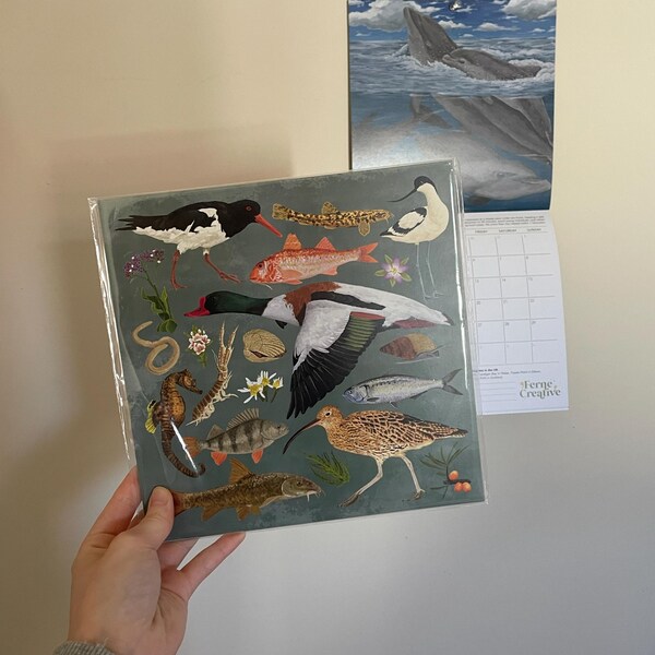 Recycled British Wildlife Habitats Calendar 2025 Illustrated Daily ...