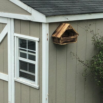 Handmade Mourning Dove House. Thick Wood & Sealed for Durability. Open ...