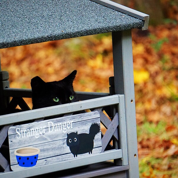 Personalized Cat Name Sign, Cat House Aluminum Door Sign, Gift for Cat ...