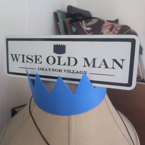 Life Size Party Hat - 3D Printed - OSRS - Runescape Inspired - Etsy