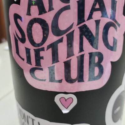 Coquette Sticker Heart Cherries Sticker Holographic Pink Bow Sticker ...