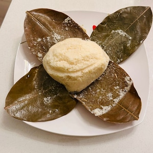 Fresh Green Organic Allspice or Pimento Leaves west Indian Bay Rum NOT ...