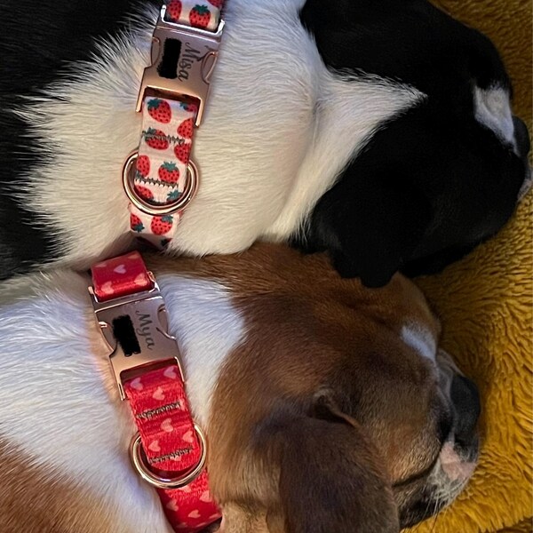 Cowgirl Chic Dog Collar Western Collar Customized Pet Collar Country ...