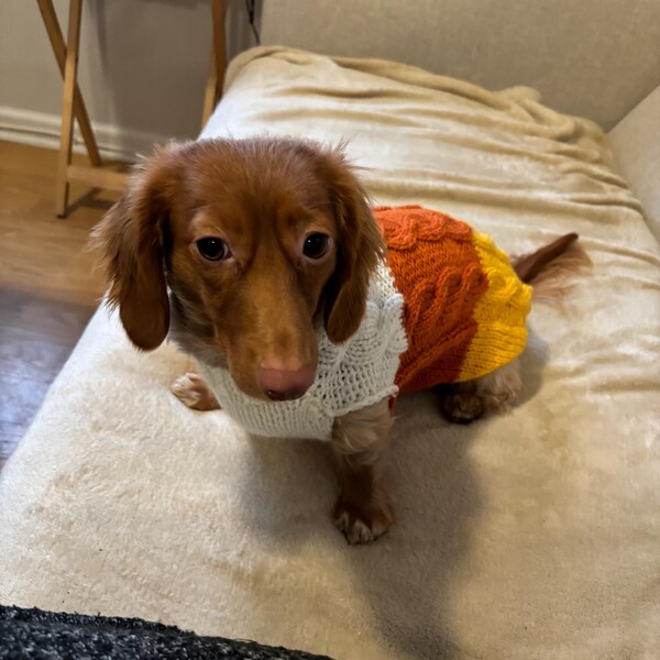 Pet Frog Costume Halloween Costume Frog Sweater and Hat Dachshund Frog ...