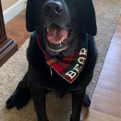 Dog Bandana Aztec Red // Aztec Print Dog Bandana // Tribal - Etsy