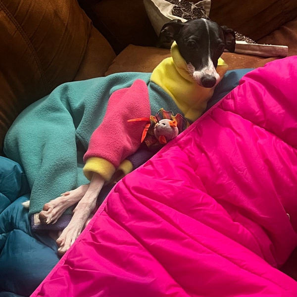 Comfy Custom Italian Greyhound Pattern PJS - Etsy