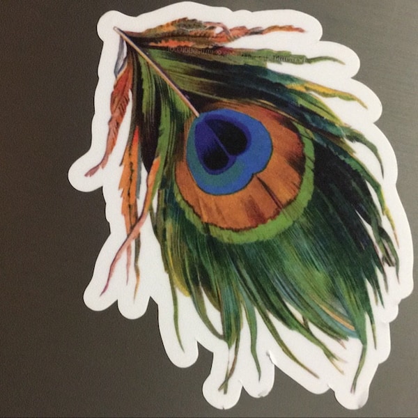 Peacock Feather Sticker, Vinyl Peacock Stickers, Vintage Antique Retro ...