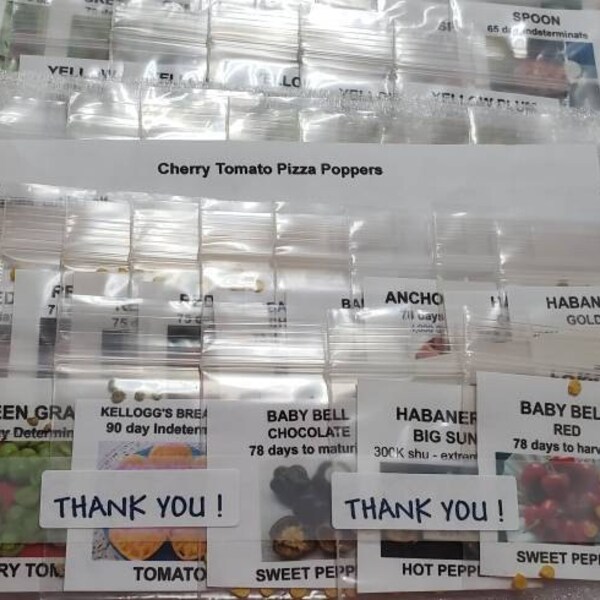 Heirloom Tomato Trip-l-crop Italian Tree Tomato 90 Day MONSTER ...